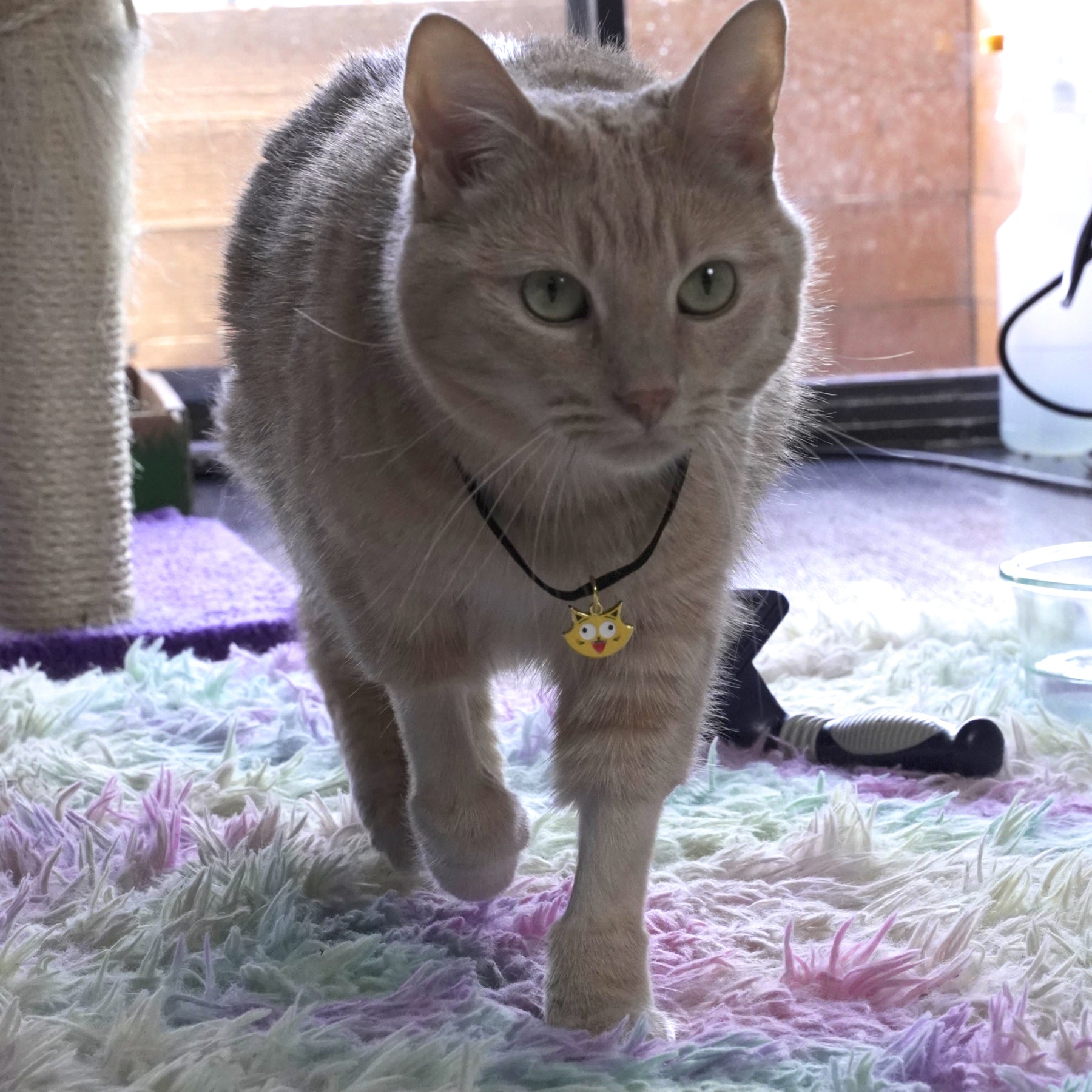 kittyfish - socks tops & hoodies